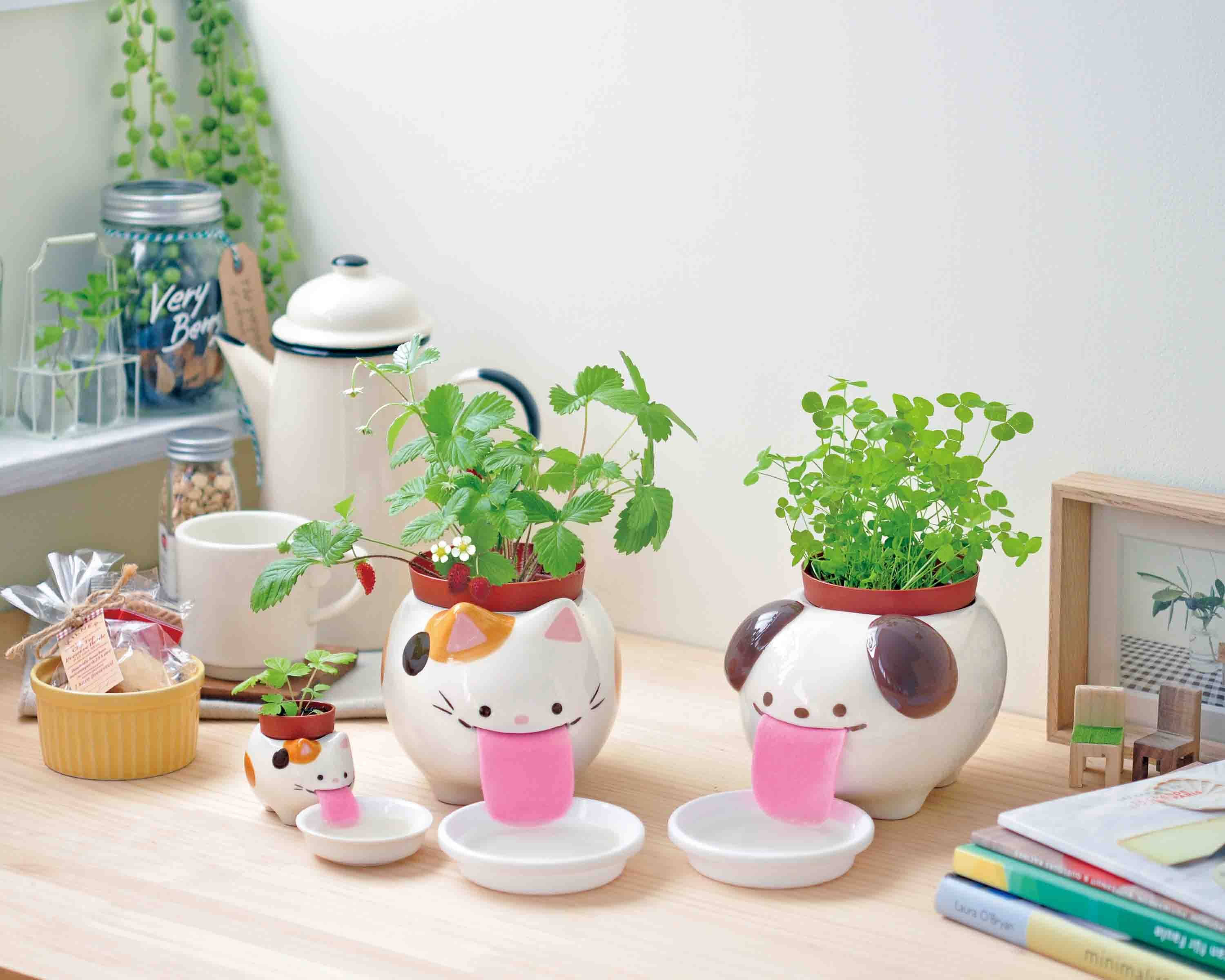 Seishin | 自動吸水Peroppon PAPA自動吸水小盆栽 - 小貓 | HKTVmall 香港最大網購平台